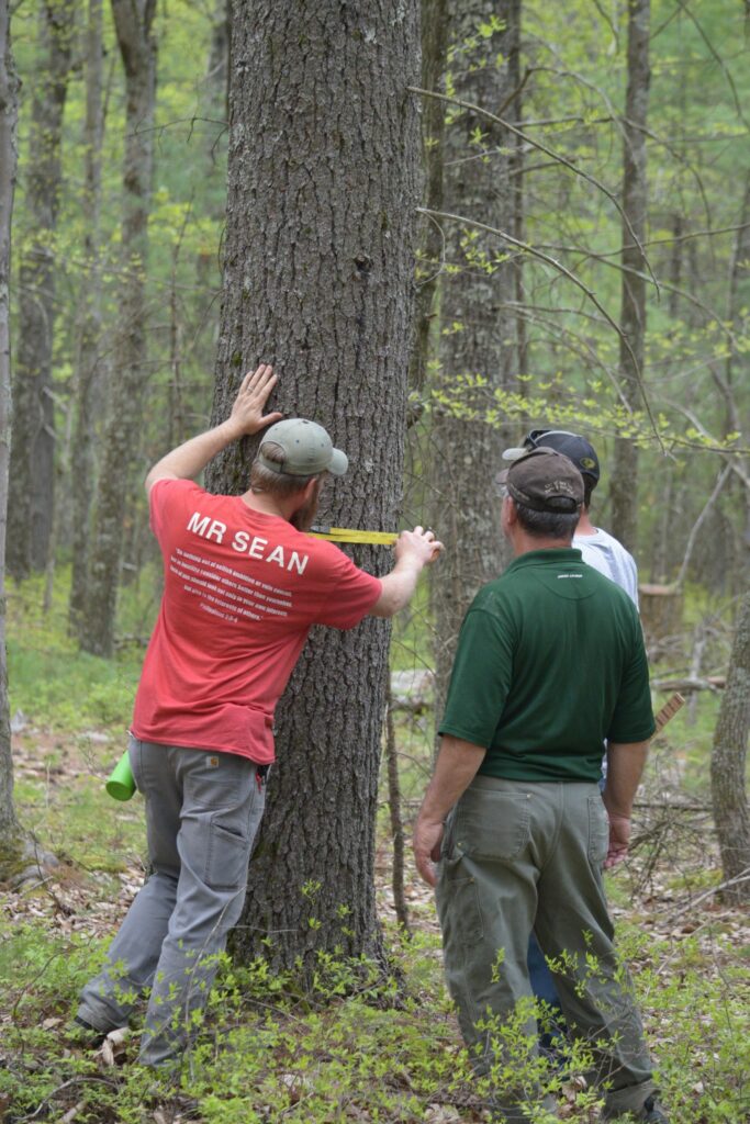 Land Stewardship - Camp Deerpark